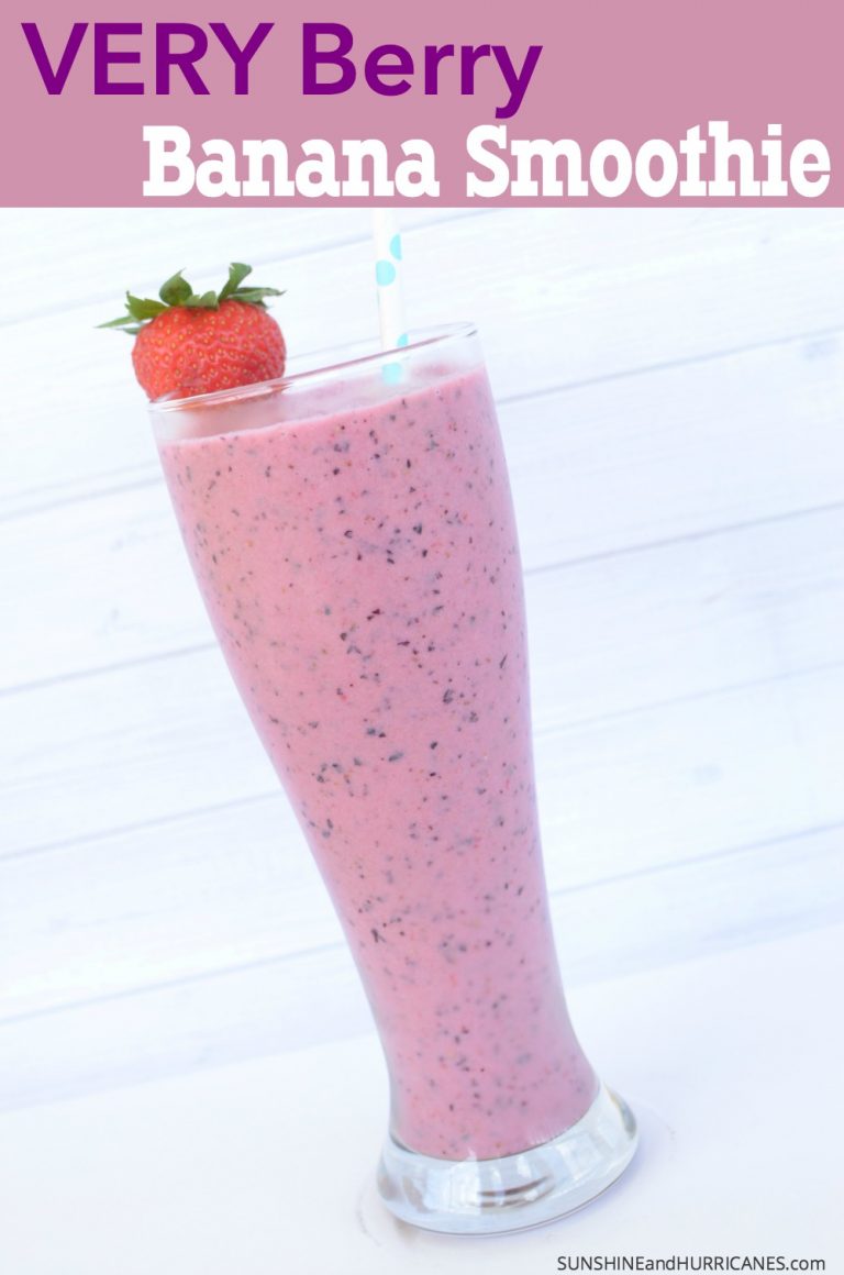 Back to School Breakfast Smoothie Recipes